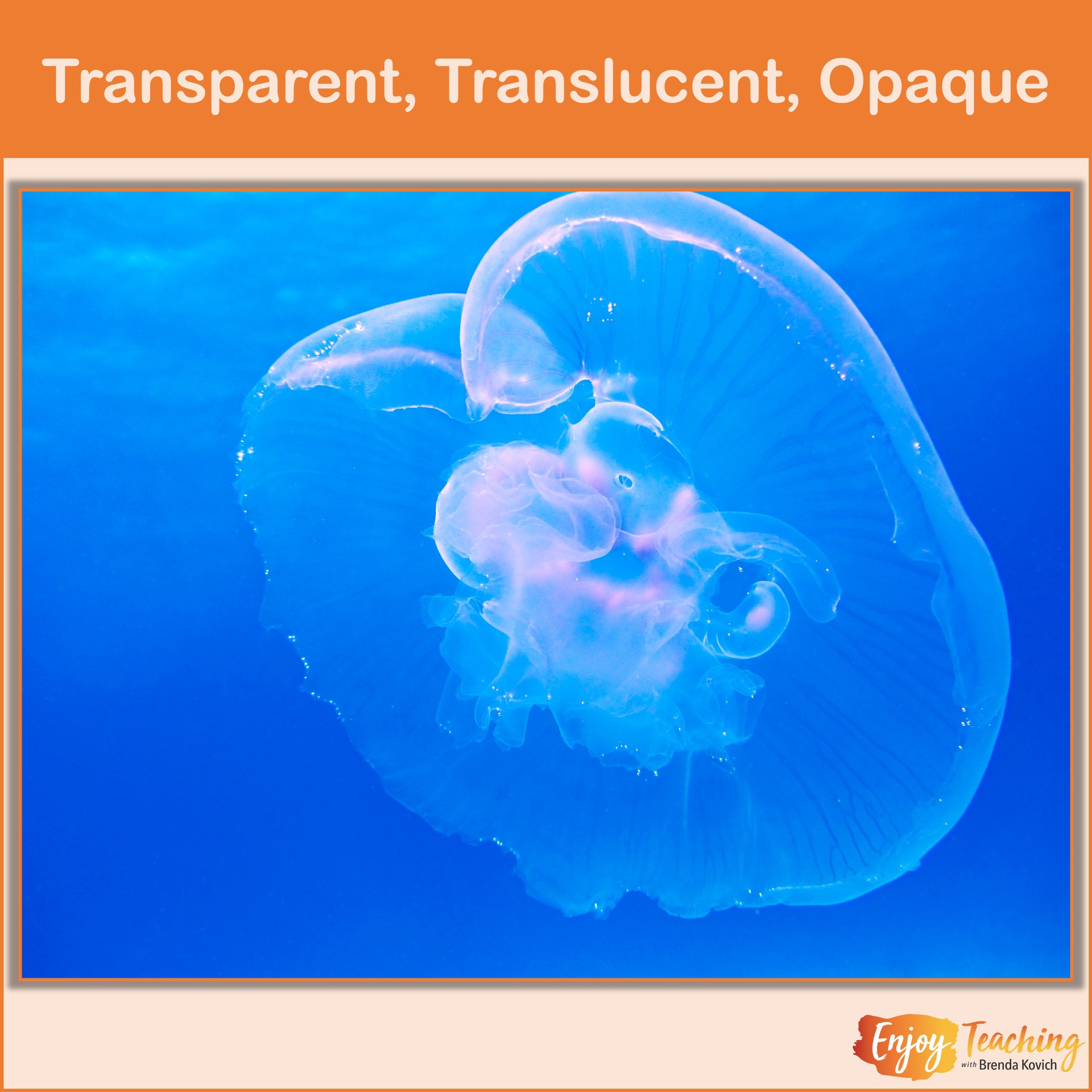 6 Light Energy Videos for Kids - Enjoy Teaching with Brenda Kovich