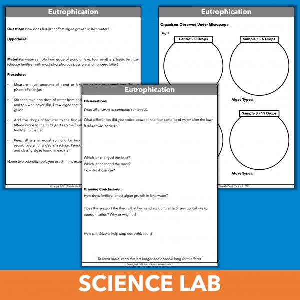 What Is Eutrophication? Water Pollution Activity for Kids
