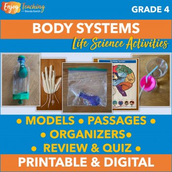 How to Build Body Systems Models for Kids