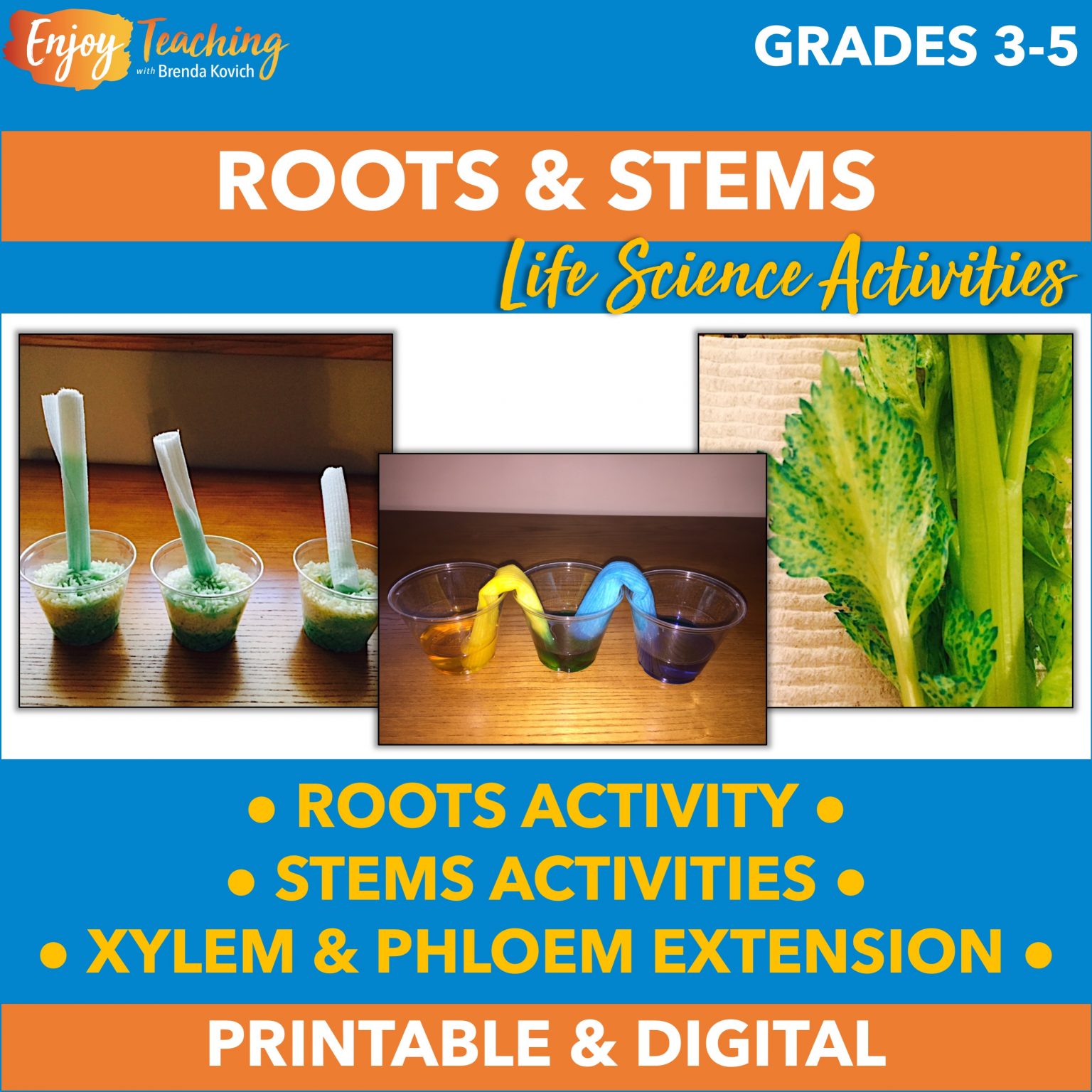 Roots and Stems - Ideas That Will Make Your Teaching Shine