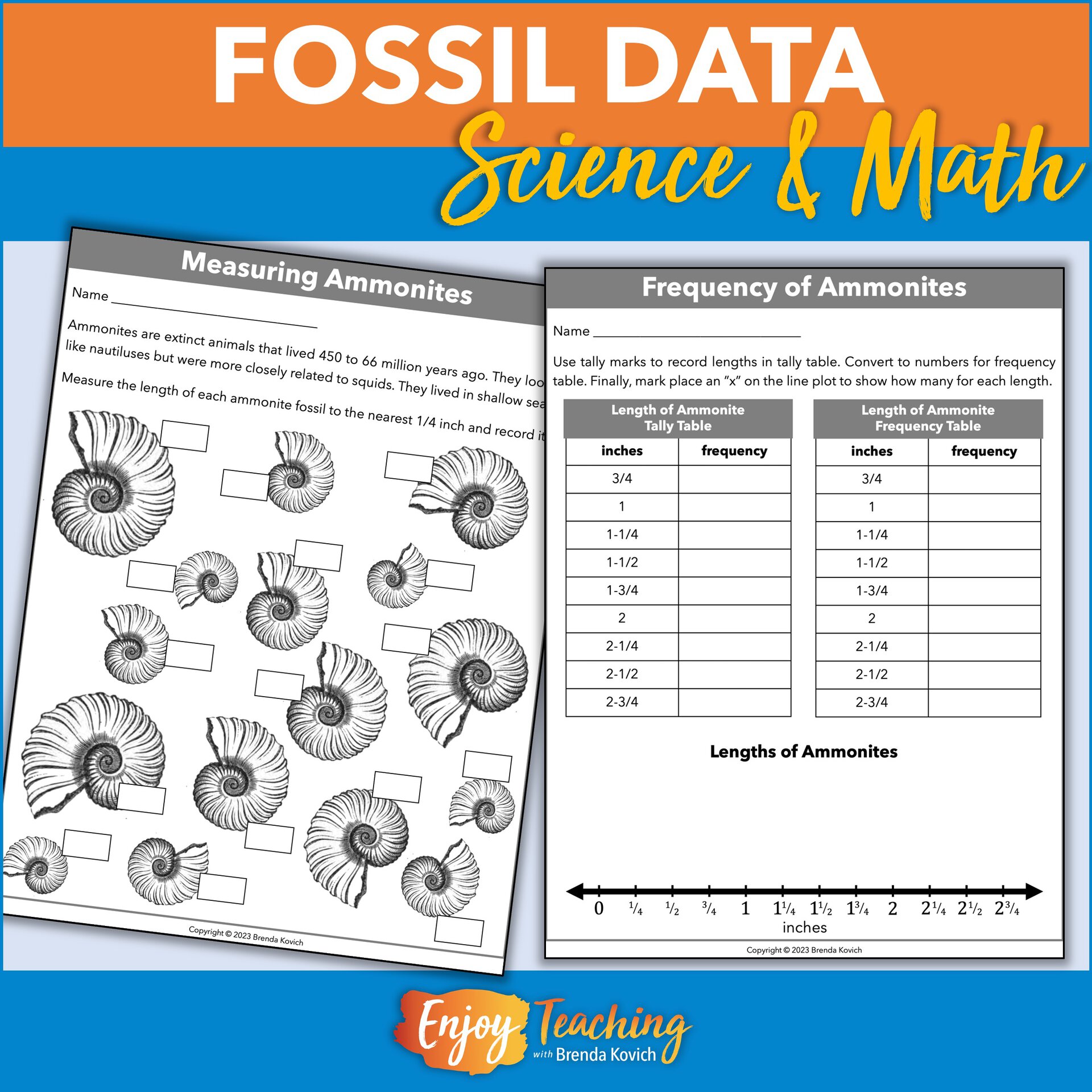 How to Teach NGSS 3-LS4-1: Fossil Data Third Grade - Enjoy Teaching ...